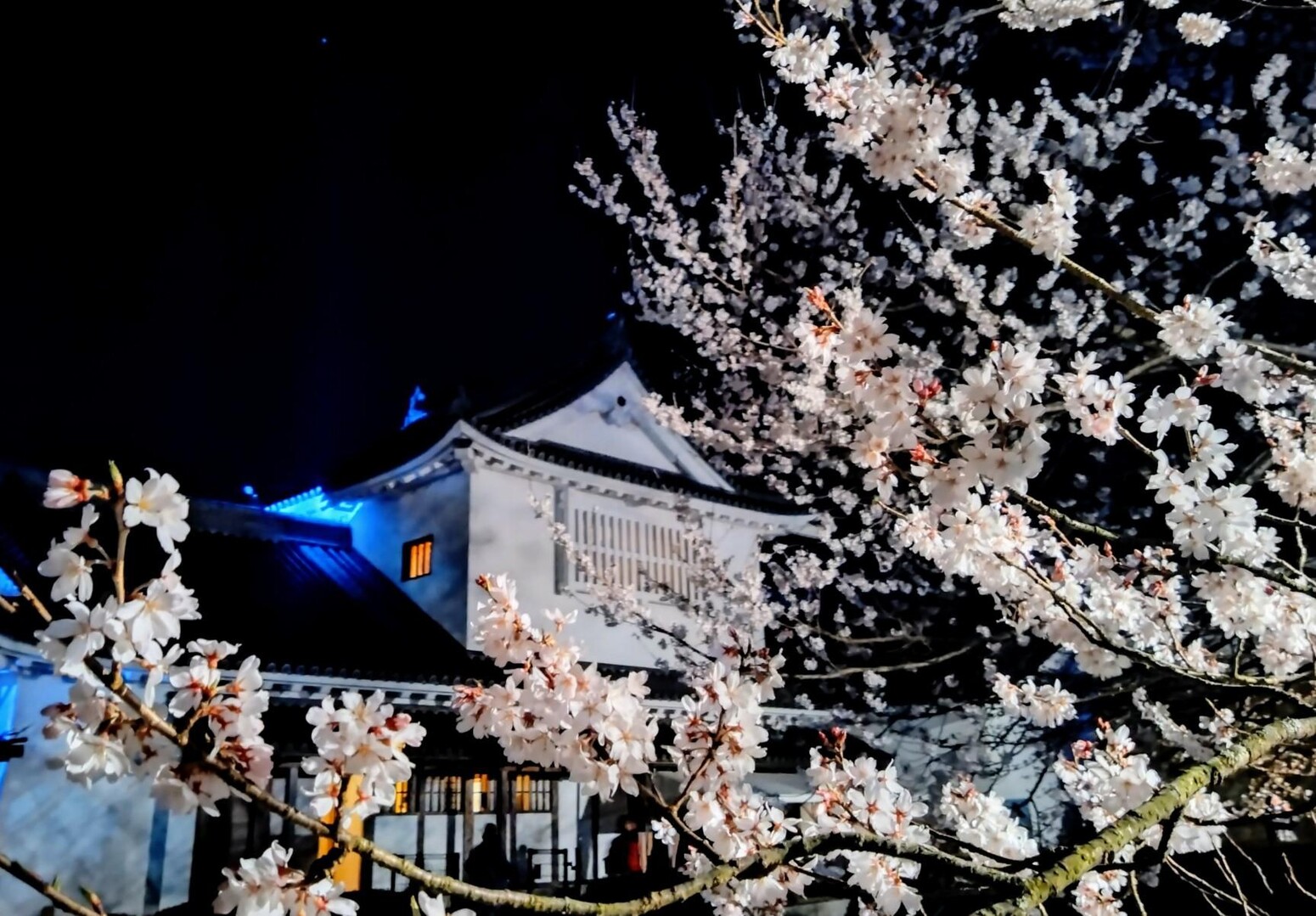 18🎫尾道⛴向島🚃津山城 / micoさんの浄土寺山（瑠璃山）の活動データ | YAMAP / ヤマップ