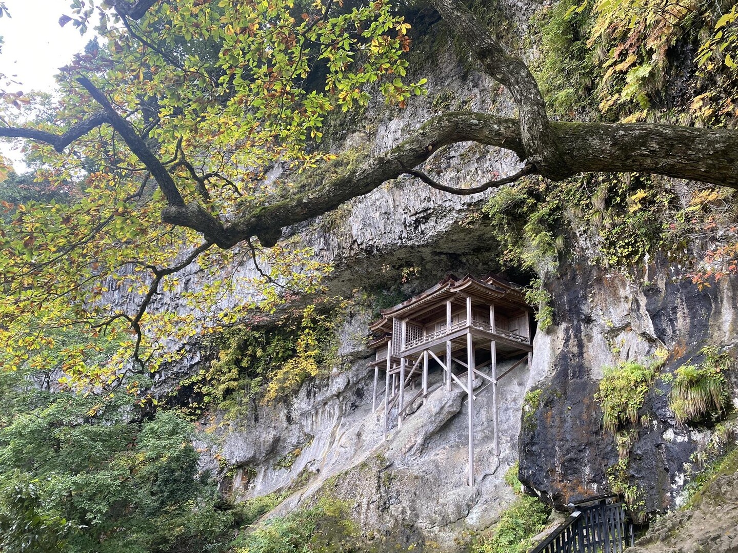 三徳山・投入堂-2022-11-03 / Kondoさんの三徳山・投入堂の活動データ | YAMAP / ヤマップ