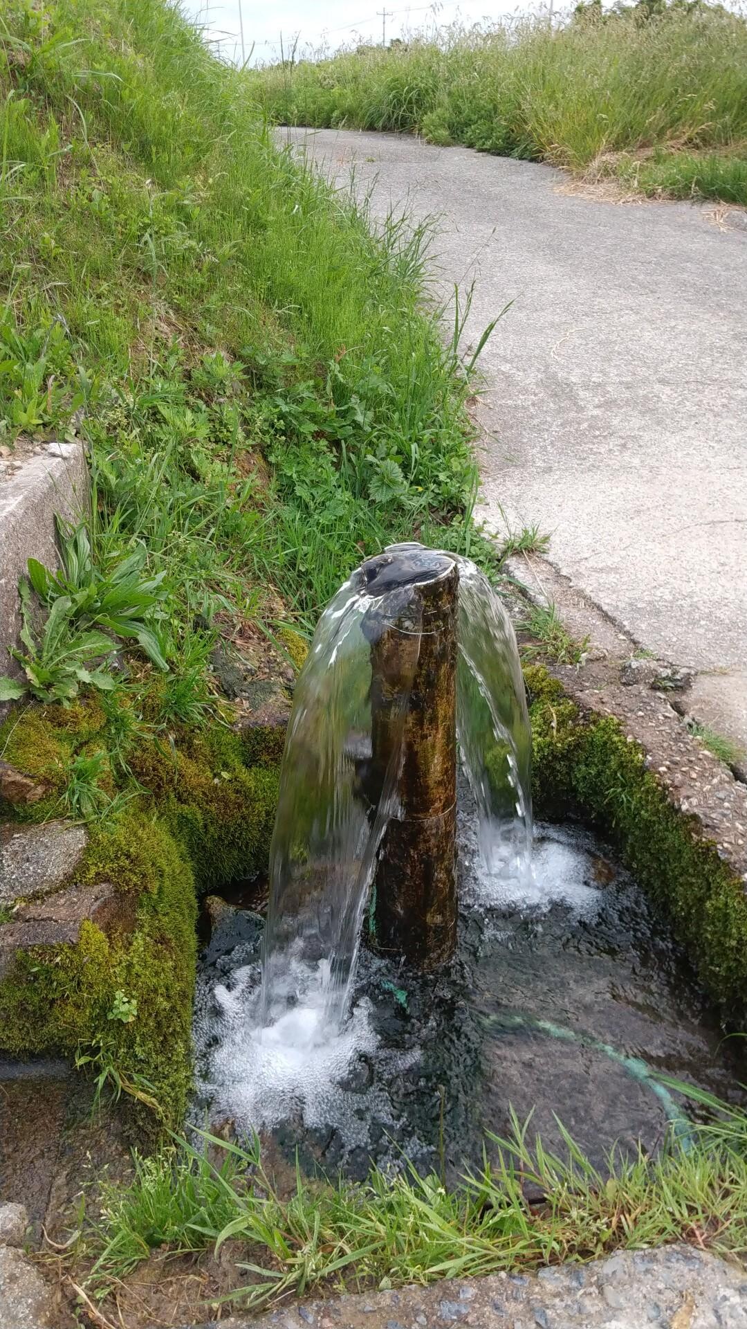 大清水の湧水 佐渡市戸中にある湧水です。... / 天ぷらケンジJyJyさんのモーメント | YAMAP / ヤマップ