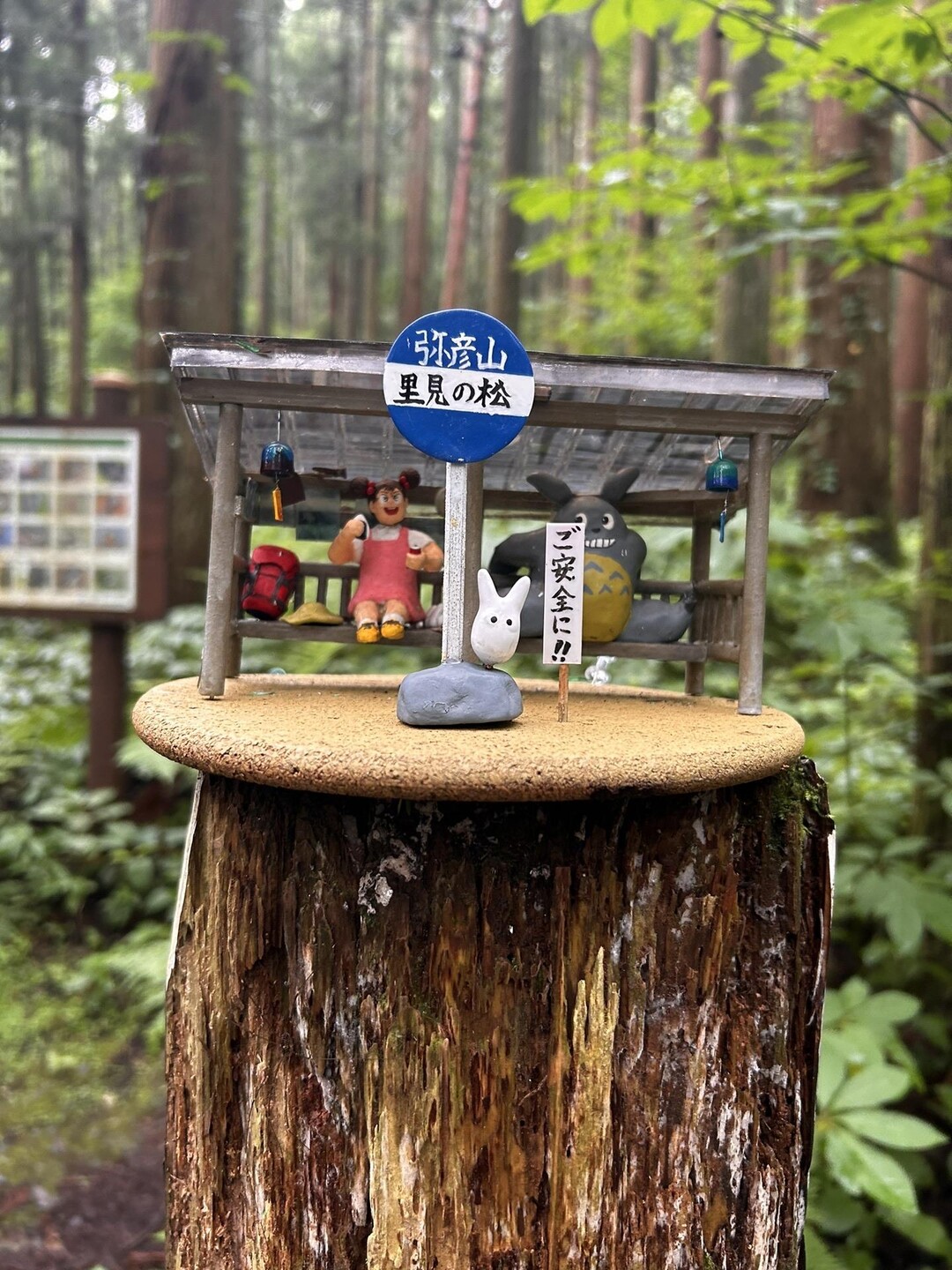 弥彦山・多宝山 / ちのあさんの弥彦山・多宝山・雨乞山の活動データ | YAMAP / ヤマップ