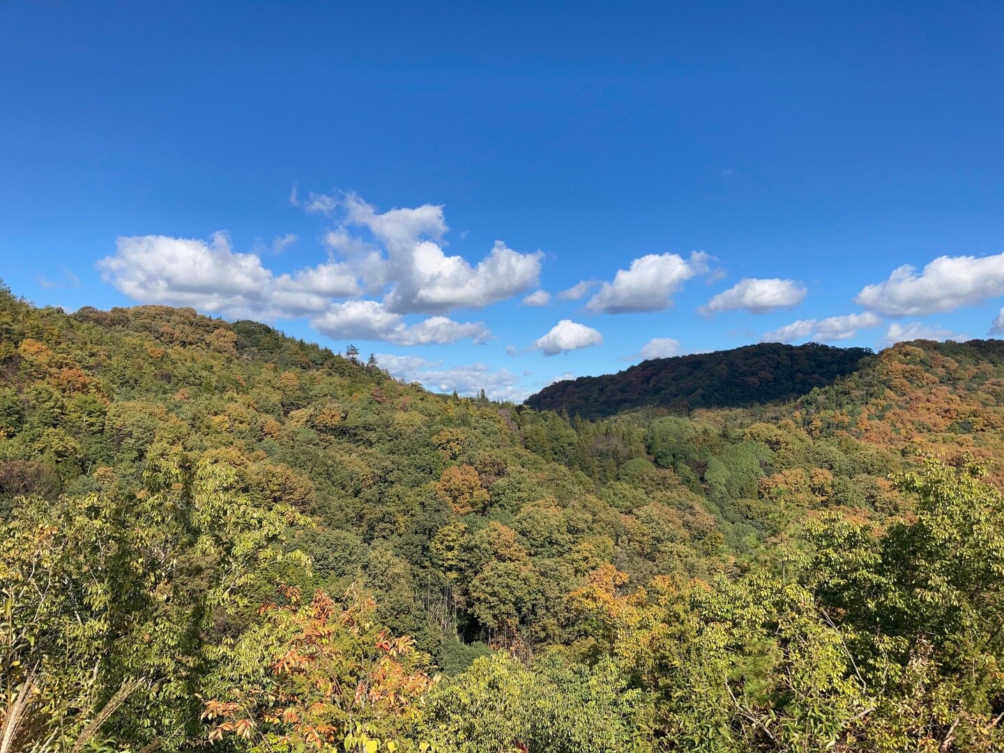 トレーニング春日アルプス 天神山〜鍛冶山 / kozoさんの蔵王山の活動データ | YAMAP / ヤマップ