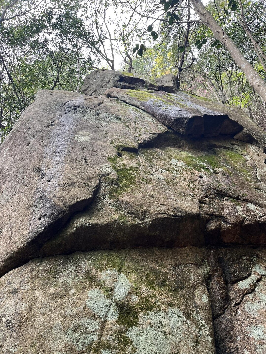 三倉岳・瓦小屋山-2023-04-19 / TOP ROPE さんの三倉岳・瓦小屋山の活動データ | YAMAP / ヤマップ