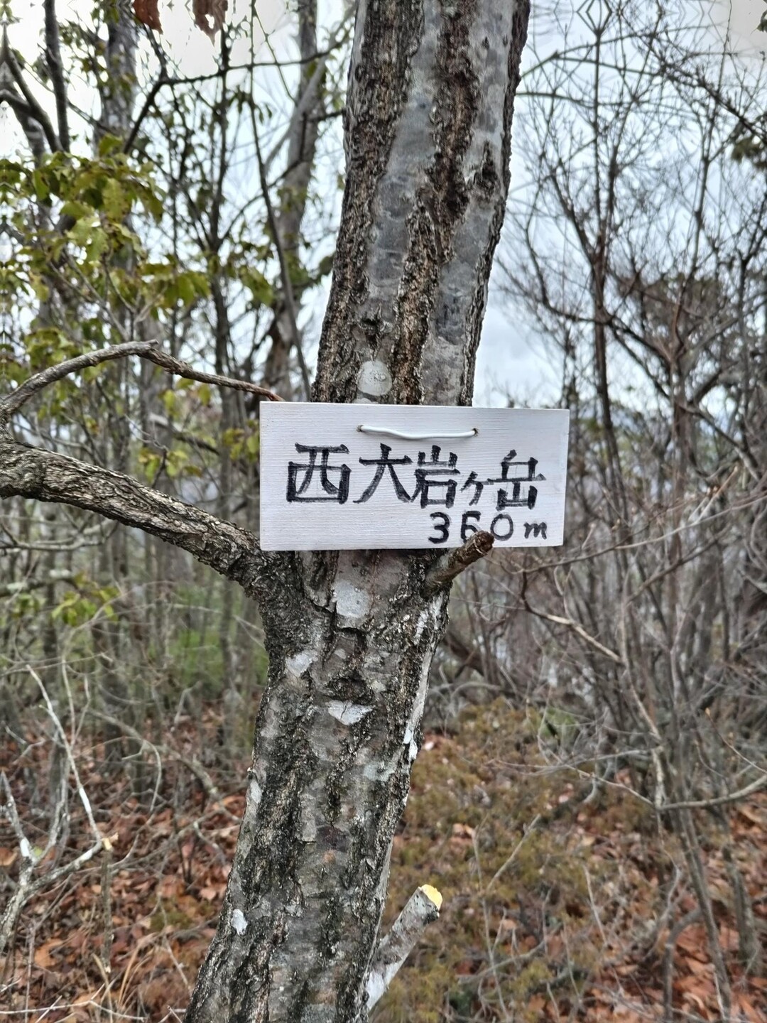 tenさんの投稿したフィールドメモ | YAMAP / ヤマップ