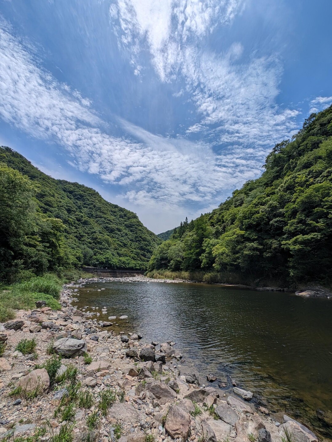 暑さでDNF ちょっとだけハイキング / daikichi303さんの中山・大峰山の活動データ | YAMAP / ヤマップ