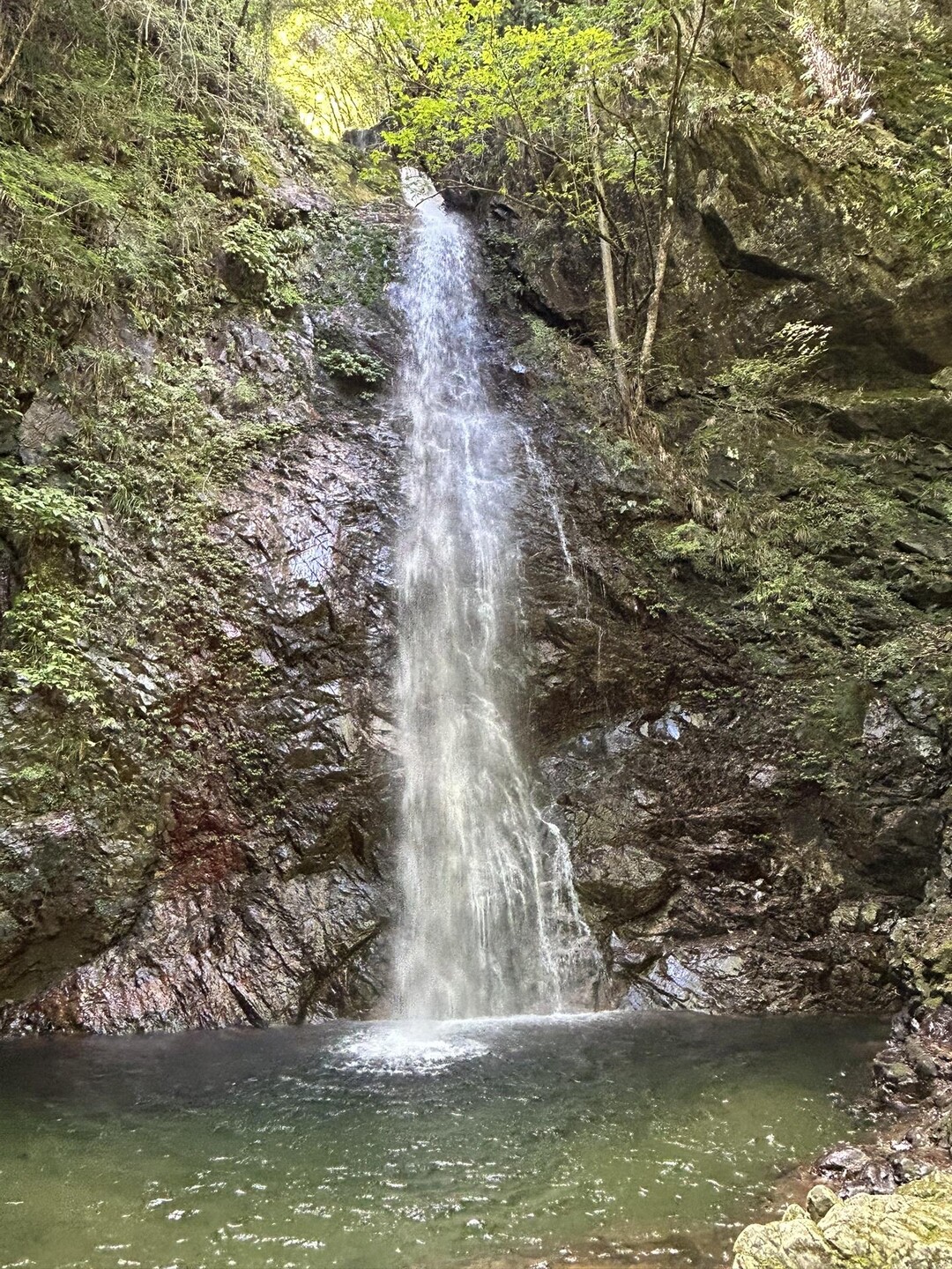 昨日は業務区切りつかず午前さま😥 早起... / conyさんのモーメント | YAMAP / ヤマップ