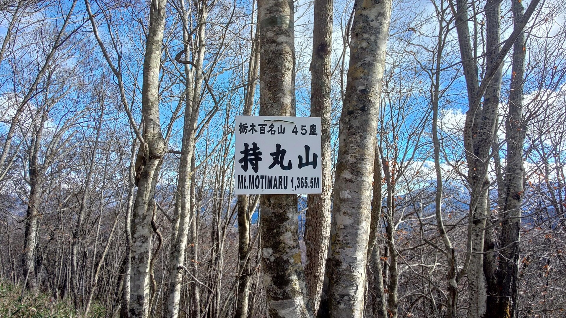 持丸山（栃百#86） / tkwさんの荒海山・芝草山の活動データ | YAMAP / ヤマップ