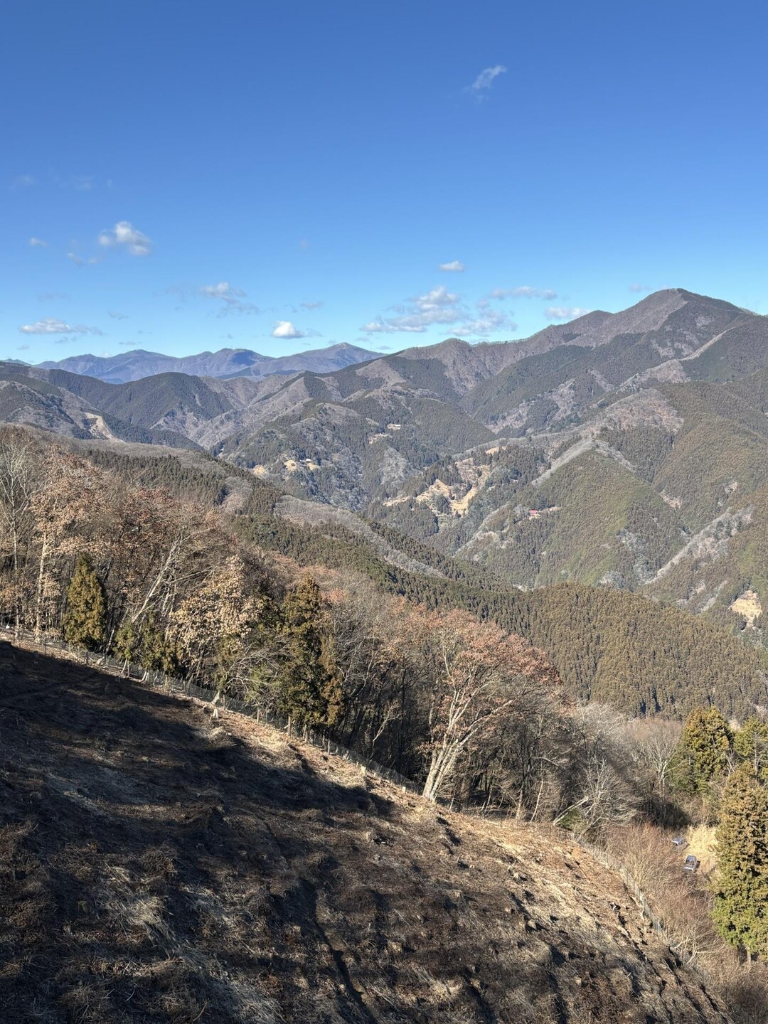 浅間嶺と払沢の滝 / Pelliotさんの浅間嶺・松生山の活動データ | YAMAP / ヤマップ