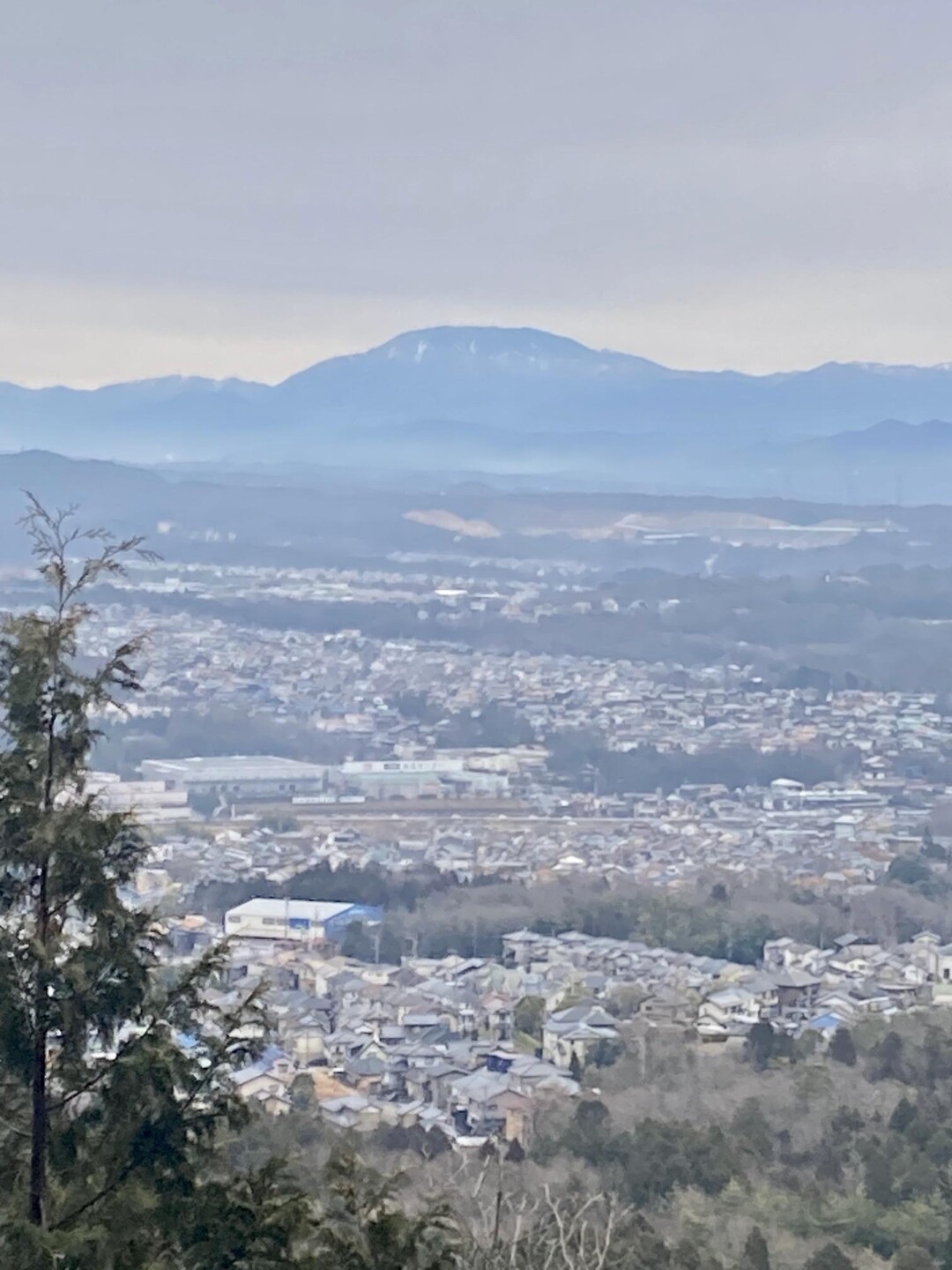 城山・高社山 / mimiさんの浅間山（美濃富士）の活動データ | YAMAP / ヤマップ