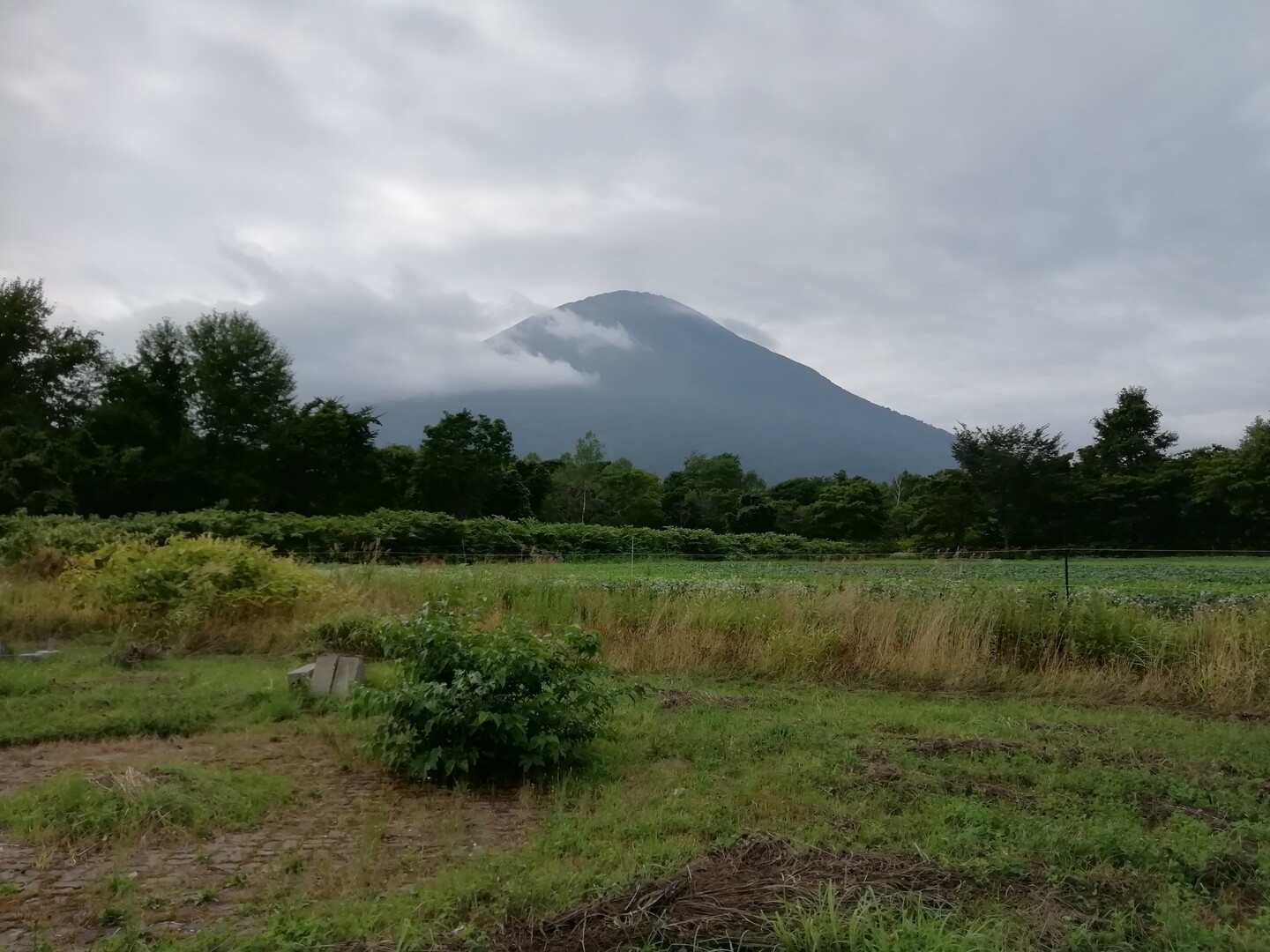 登ってきたど〜😄 詳細のちほど / kaoriさんのモーメント | YAMAP / ヤマップ