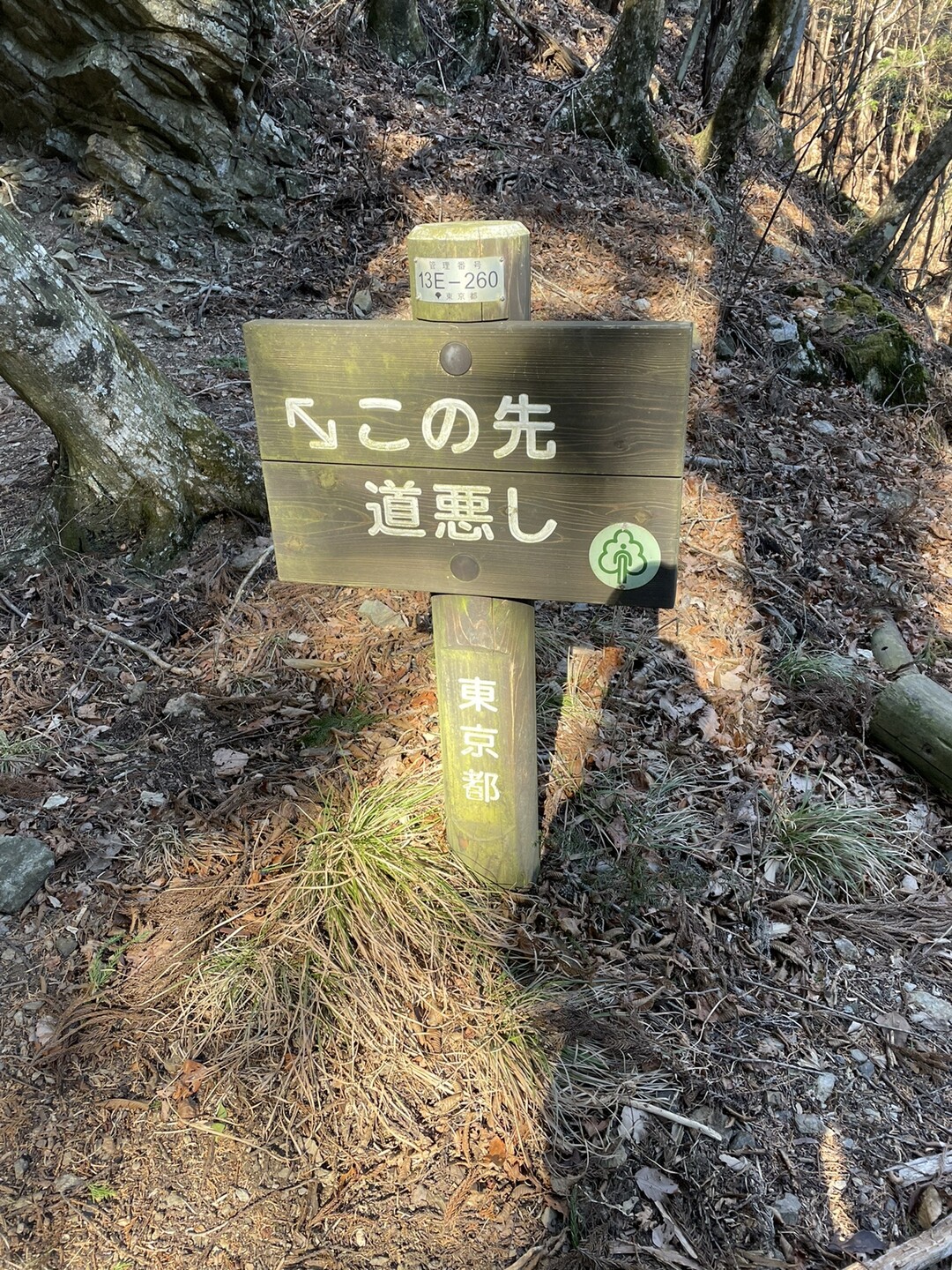 きなこ107さんの投稿したフィールドメモ | YAMAP / ヤマップ