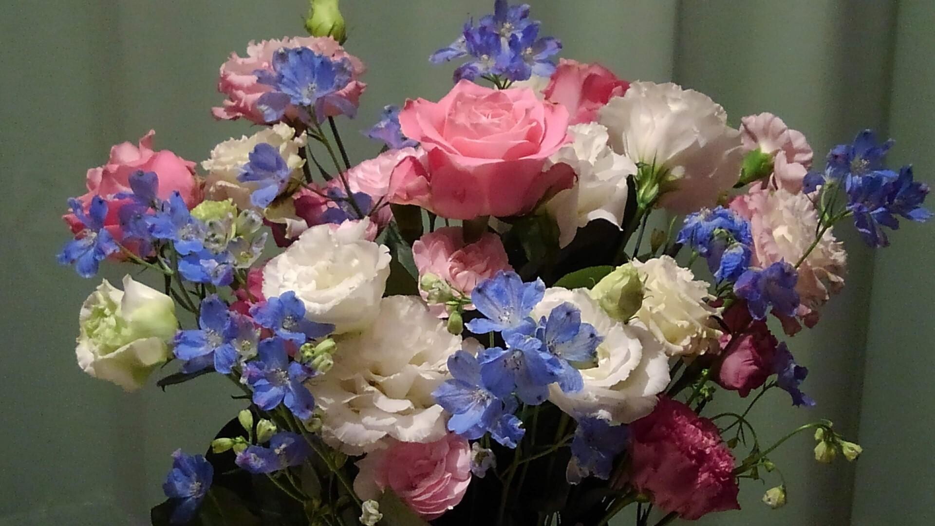 🍀makokazu🍀のページ | YAMAP / ヤマップ