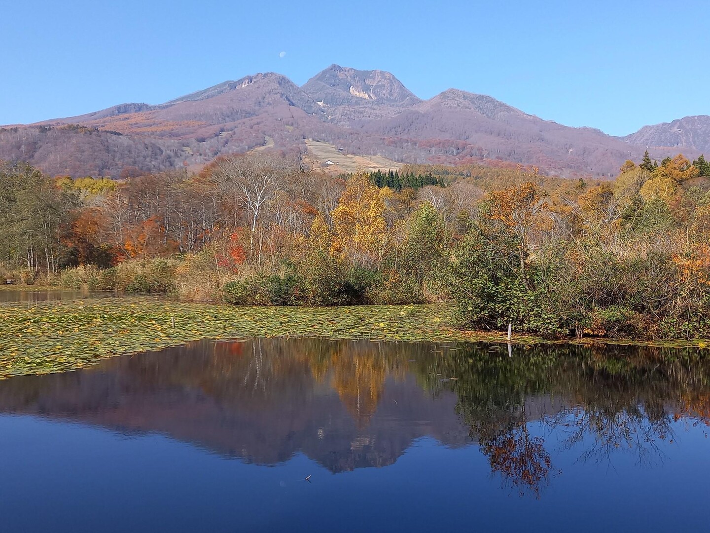 登山日和の今日の妙高山(登りません😢)... / UDさんのモーメント | YAMAP / ヤマップ