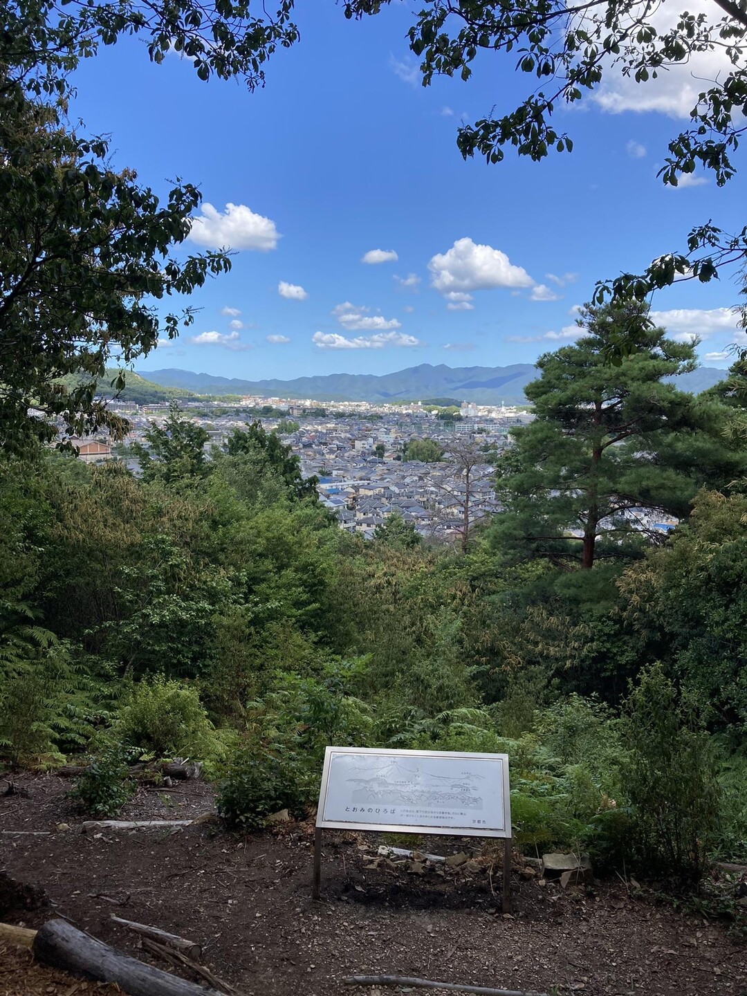 CoCo壱、三の丘・二の丘・双ヶ岡（雙ヶ岡） / K.KAIさんの京都一周トレイルの活動データ | YAMAP / ヤマップ