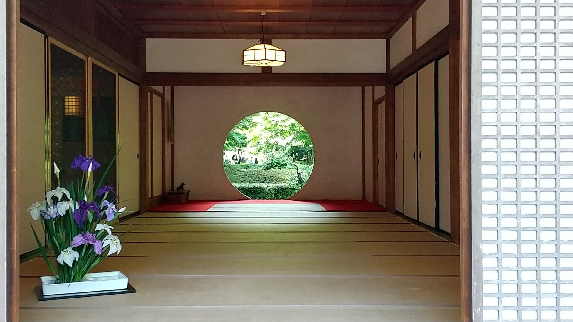 鎌倉 紫陽花だより 明月院ブルー ... / katuさんのモーメント | YAMAP / ヤマップ