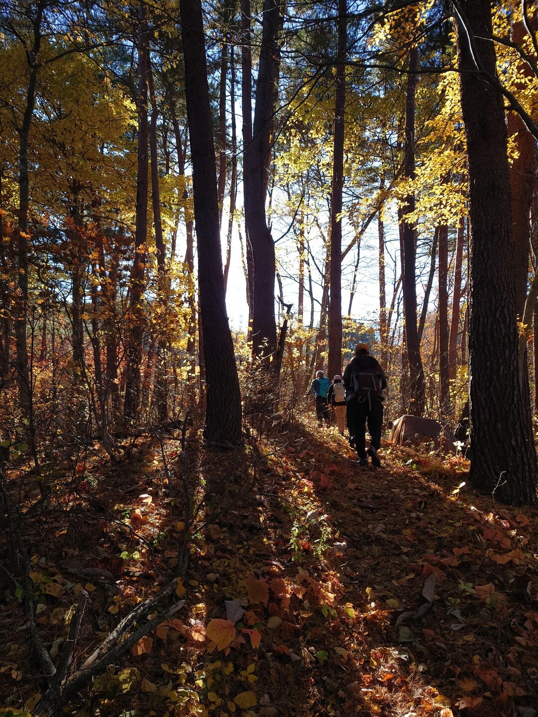 月山(重茂半島)と牡蠣小屋 / R.Chibaさんの月山の活動データ | YAMAP / ヤマップ