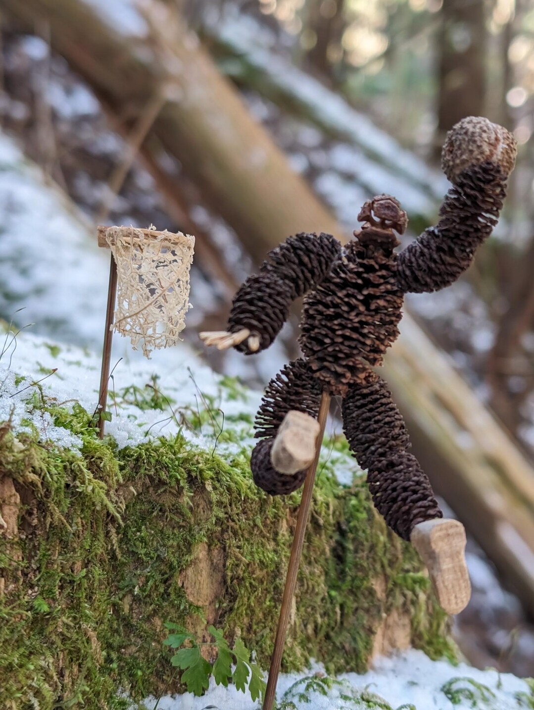 大日岳・金剛山 / SAKURAさんの金剛山・二上山・大和葛城山の活動データ | YAMAP / ヤマップ