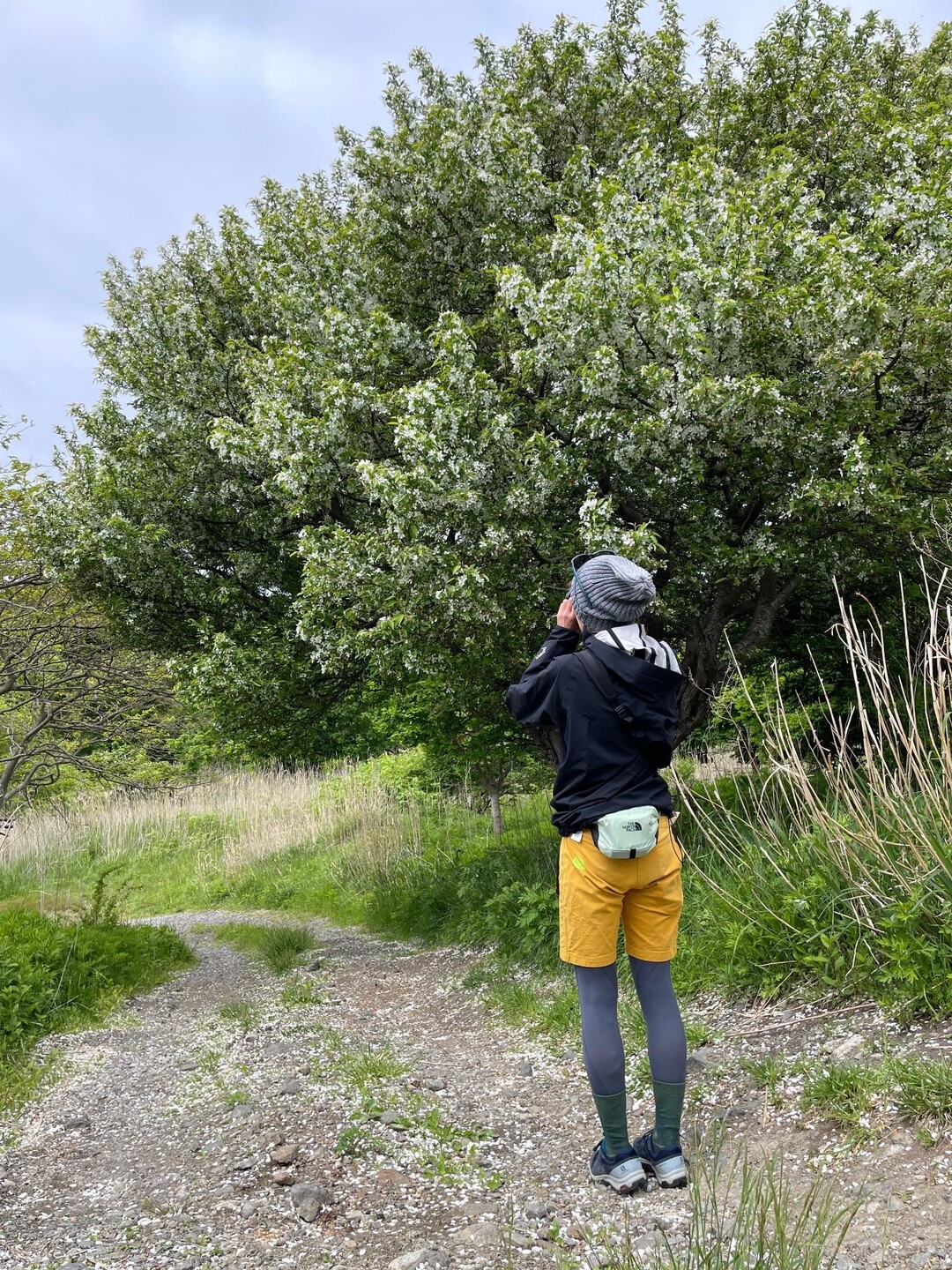 蓬莱門 rucolaさんが来てくれた🥰 / ナキウサさんの測量山・母恋富士の活動データ | YAMAP / ヤマップ
