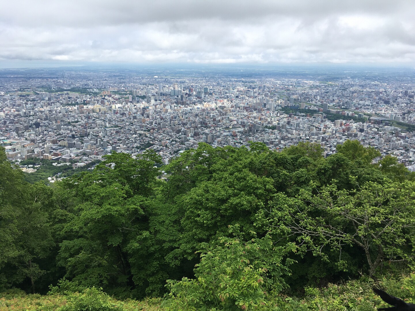 ガンバレ2021！ 7th 藻岩山編 / naotoGSさんのハイキングの活動データ | YAMAP / ヤマップ
