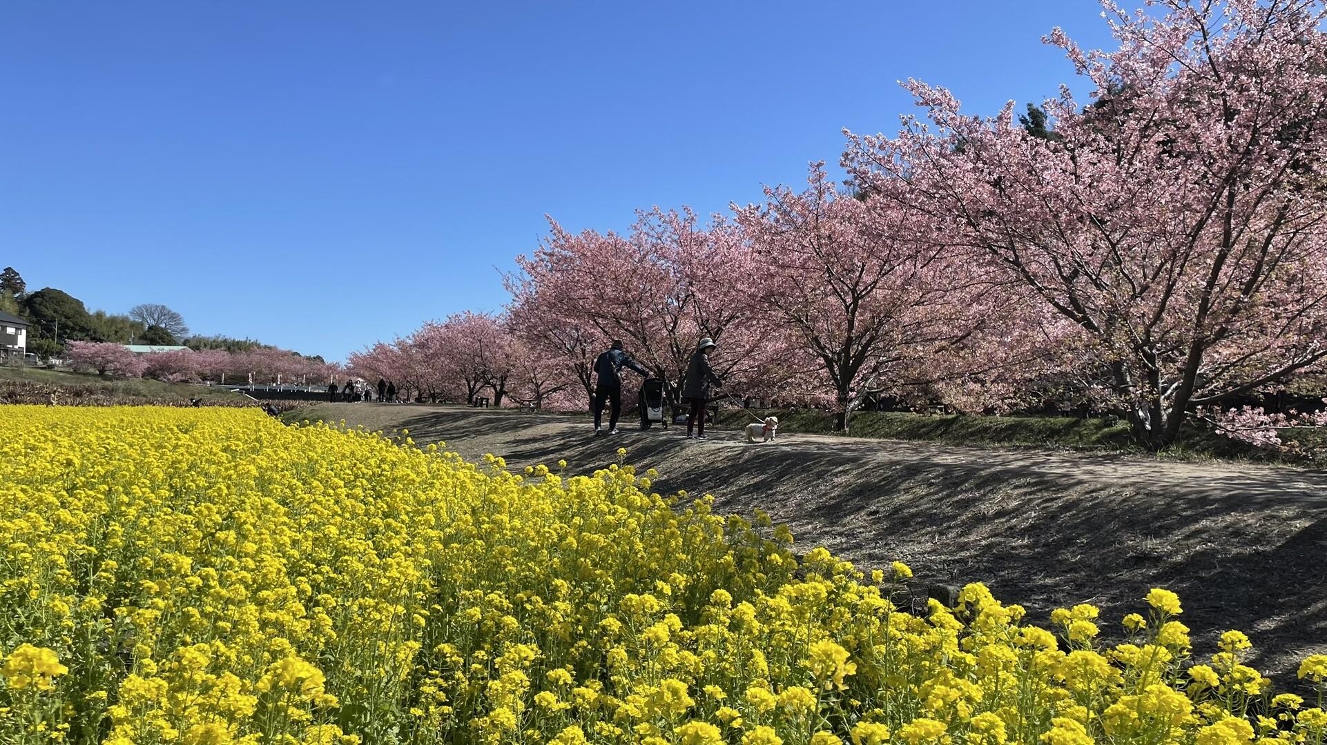 フォローしているのぶさんがレポであげてい... / pickji28さんのモーメント | YAMAP / ヤマップ