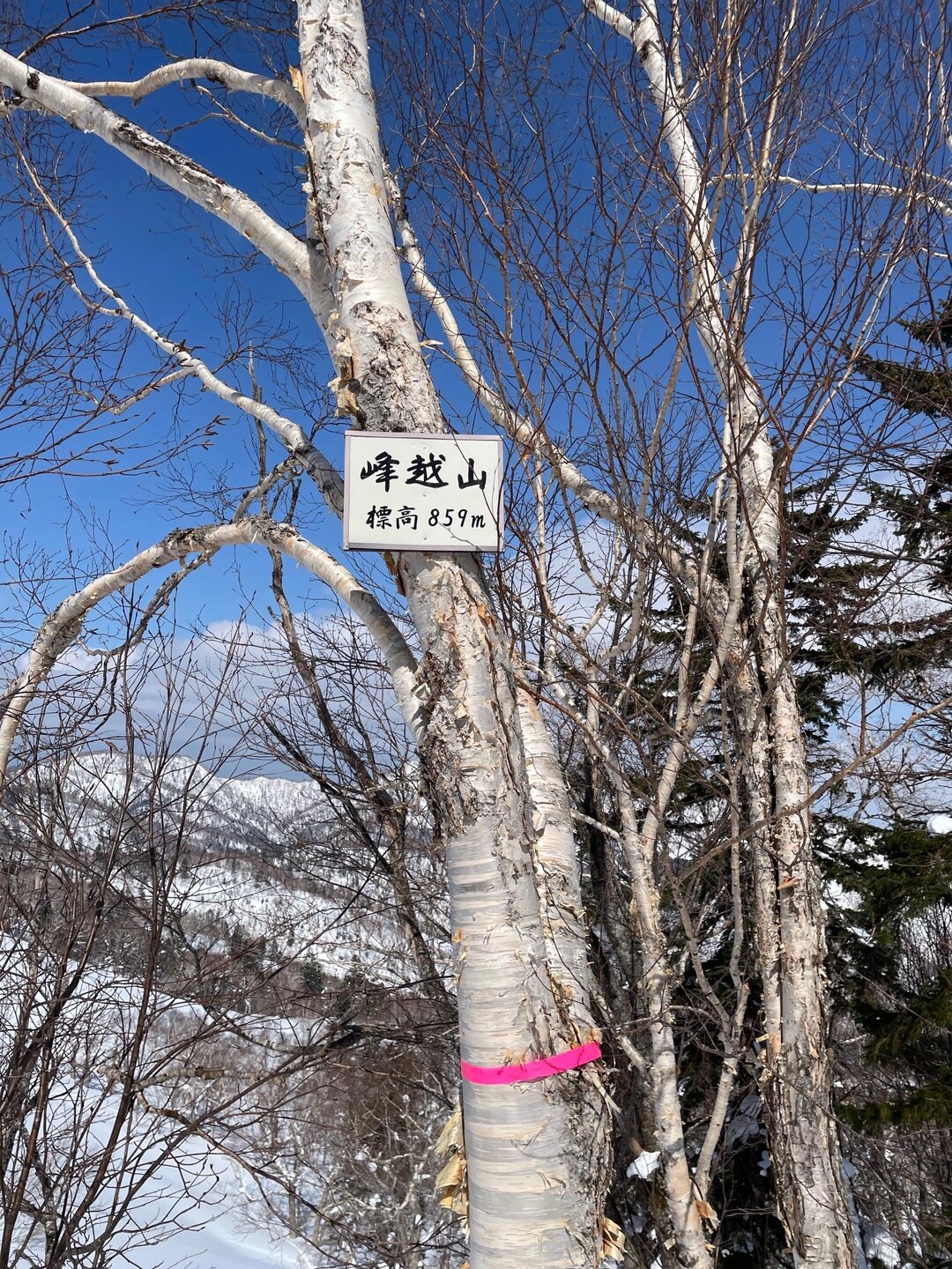 なかなかです👍峯越山 / NONさんの百松沢山の活動データ | YAMAP / ヤマップ