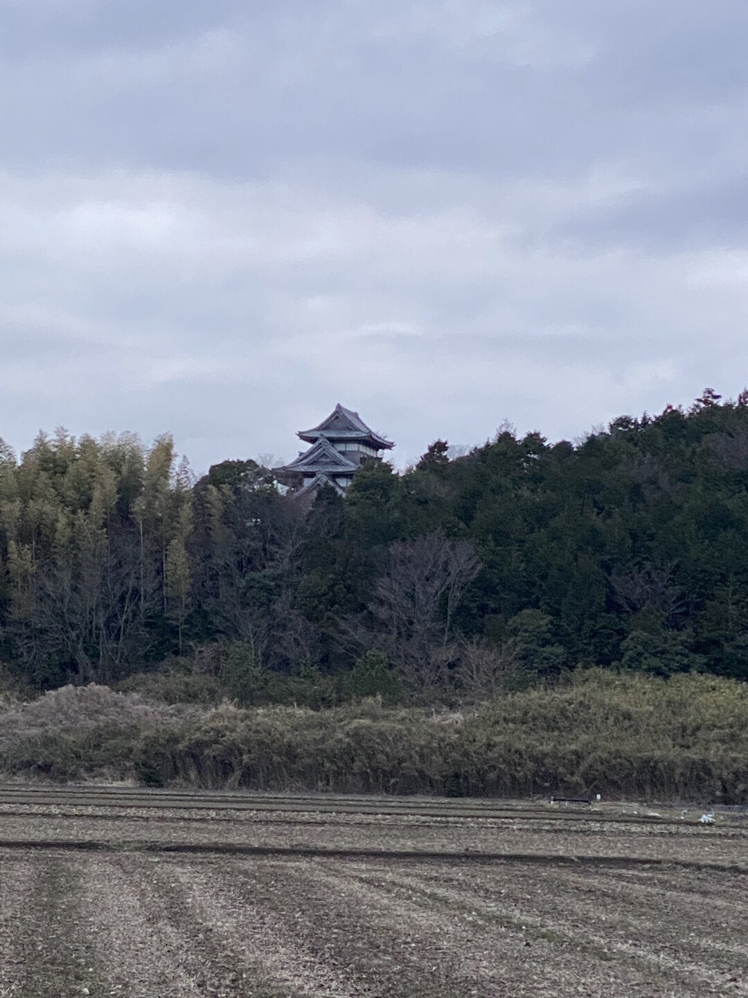 茨城百名山67座目 天神山 / Alsuさんのひたちなか市の活動データ | YAMAP / ヤマップ