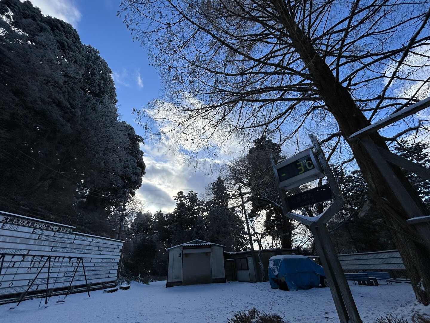 金剛山ツツジオ視察w / KOH-Z(オッサン釣り倶楽部)さんの金剛山・二上山・大和葛城山の活動データ | YAMAP / ヤマップ