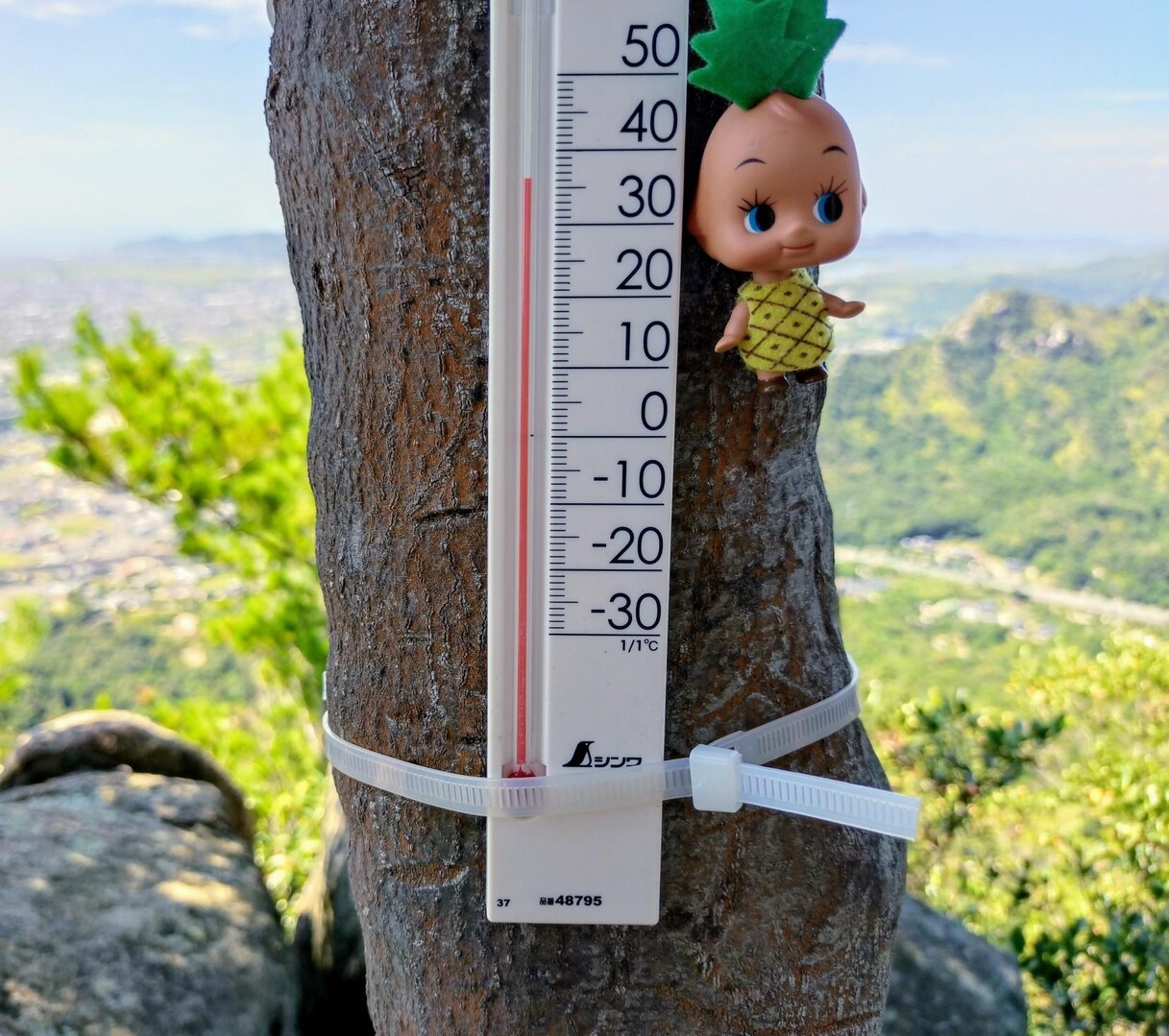 おはようございます☆右々でっす🖐 🌅... / moana☆さんのモーメント | YAMAP / ヤマップ