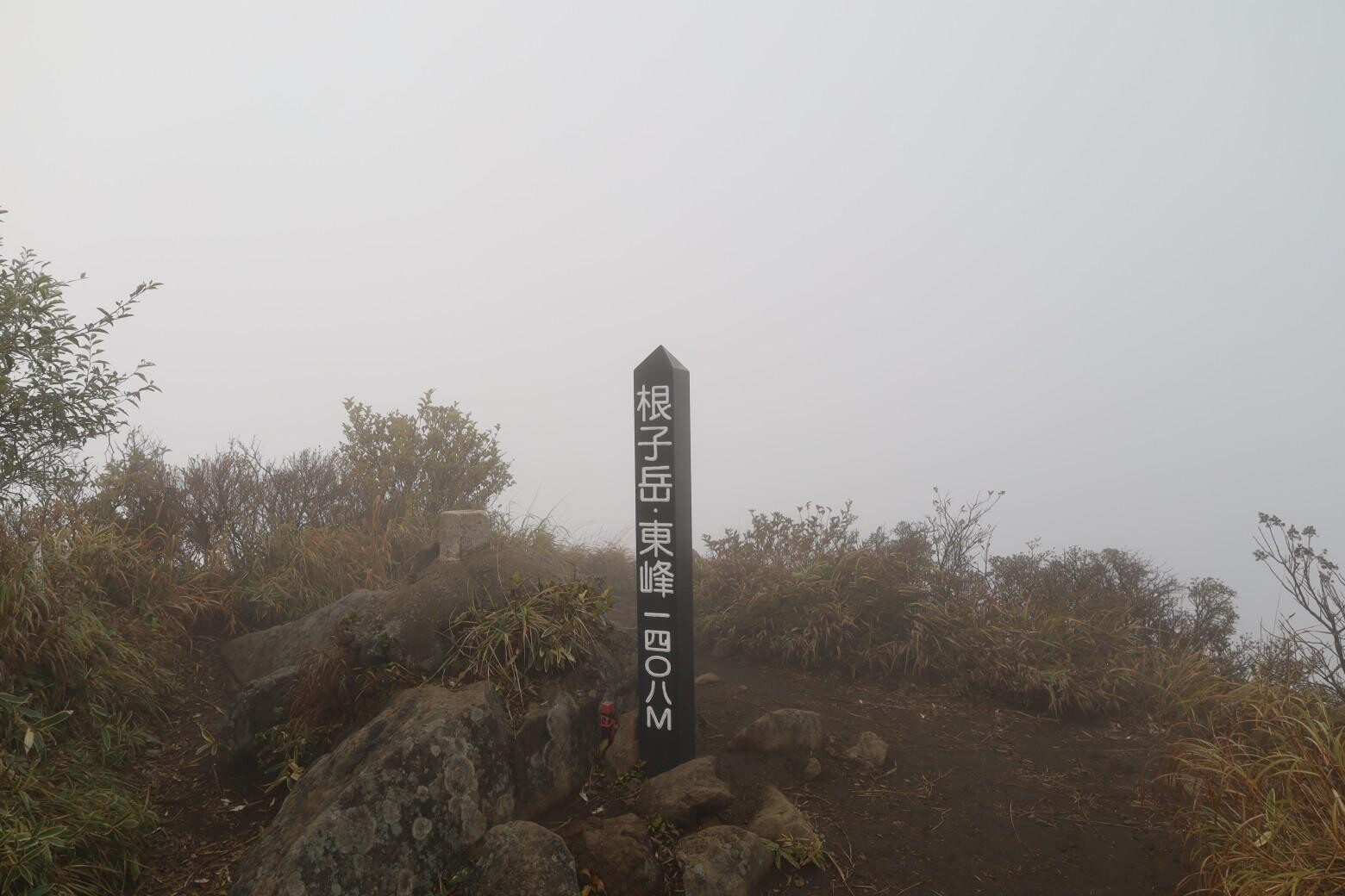 10年ぶりの根子岳 / toshil-_-lさんの阿蘇山・高岳・根子岳の活動データ | YAMAP / ヤマップ