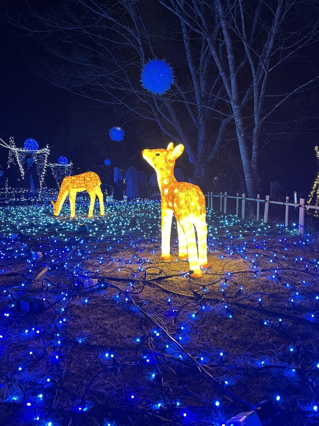 なら瑠璃絵 本日2月14日が最終日で滑り... / ta_ba8016さんのモーメント | YAMAP / ヤマップ