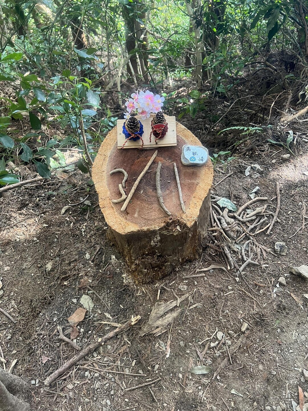 満観峰 / Mr.Pさんの焼津アルプス（高草山・満観峰・花沢山）・徳願寺山の活動データ | YAMAP / ヤマップ