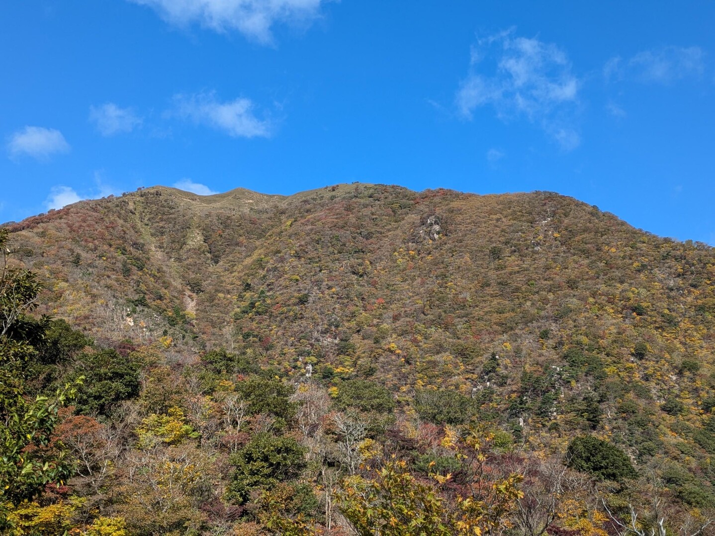 竜ヶ岳 / Naさんの竜ヶ岳の活動データ | YAMAP / ヤマップ