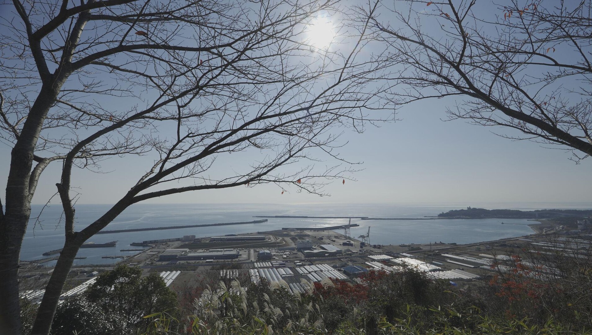 愛宕山・大平山 / FRVさんの五台山・鉢伏山・大平山の活動データ | YAMAP / ヤマップ