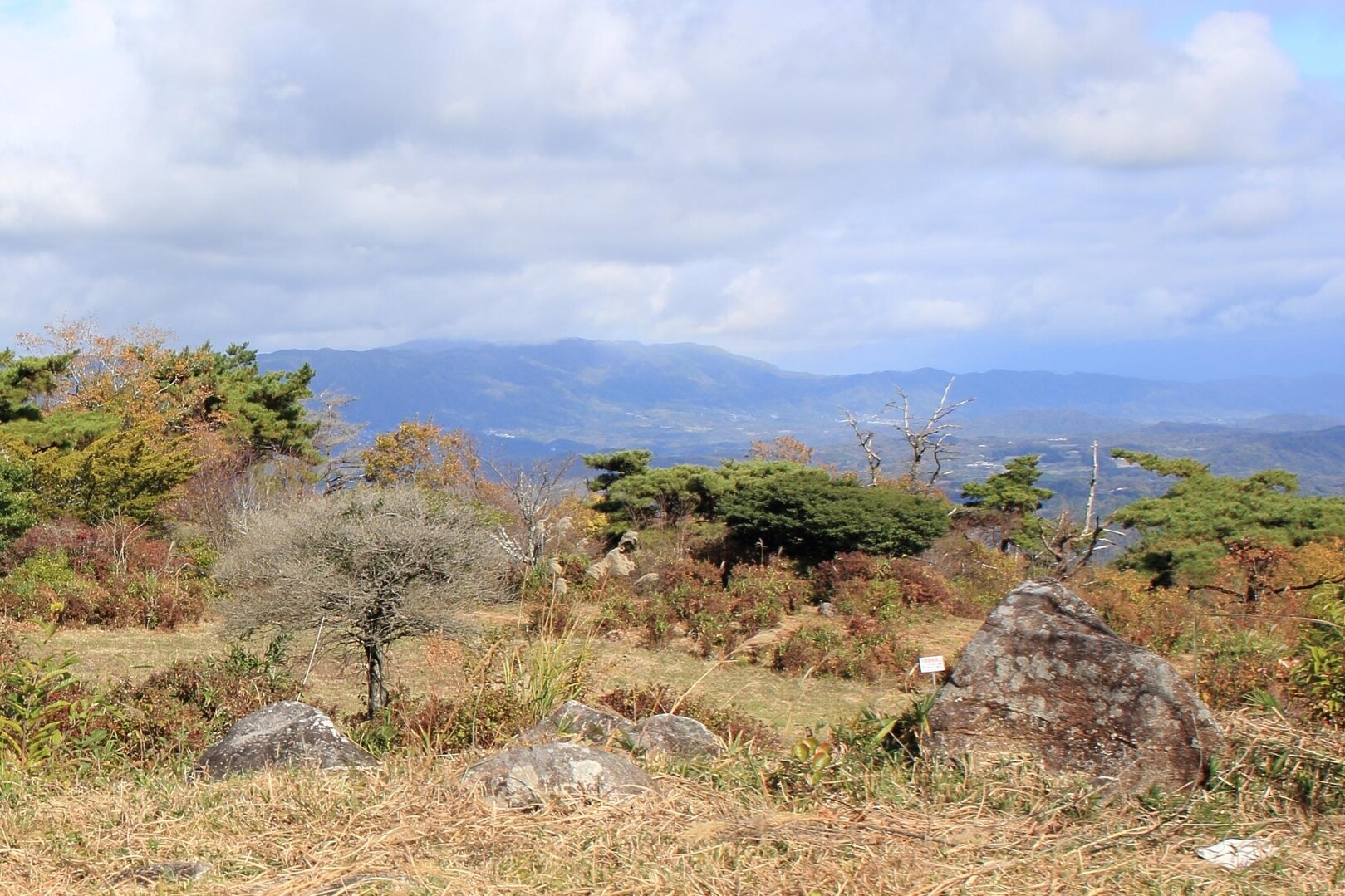 1歳児、頑張った!一等三角点神野山 / syn@二上山360マップPRJさんの神野山の活動データ | YAMAP / ヤマップ