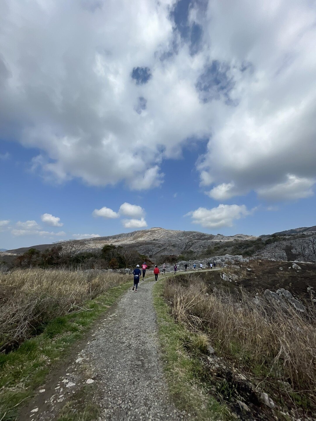 平尾台クロスカントリー2023 / yucoさんの平尾台・貫山・水晶山の活動データ | YAMAP / ヤマップ