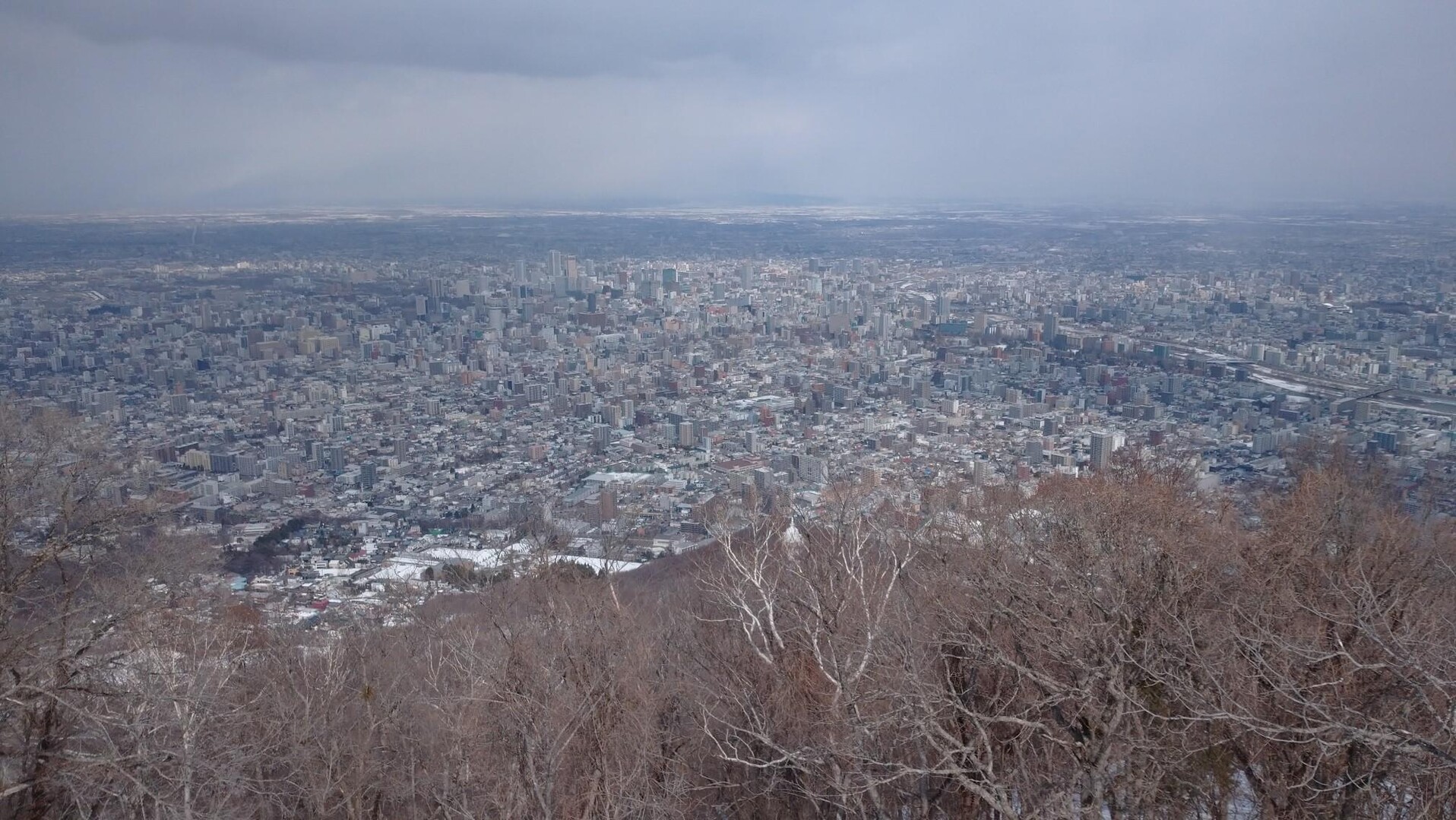 great view Mt.Moiwa / やまいささんの藻岩山の活動データ | YAMAP / ヤマップ