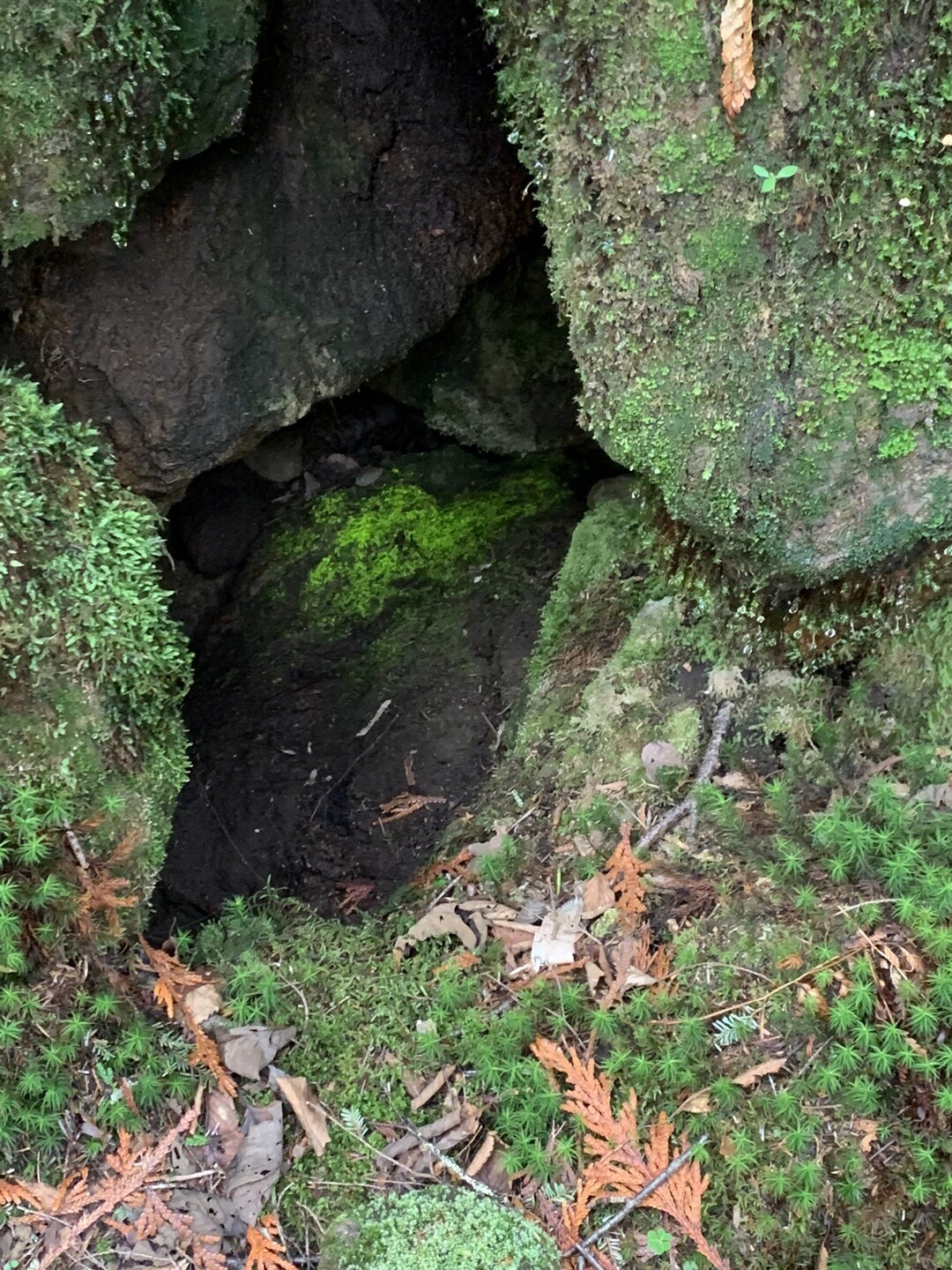 Norisanさんの投稿したフィールドメモ | YAMAP / ヤマップ