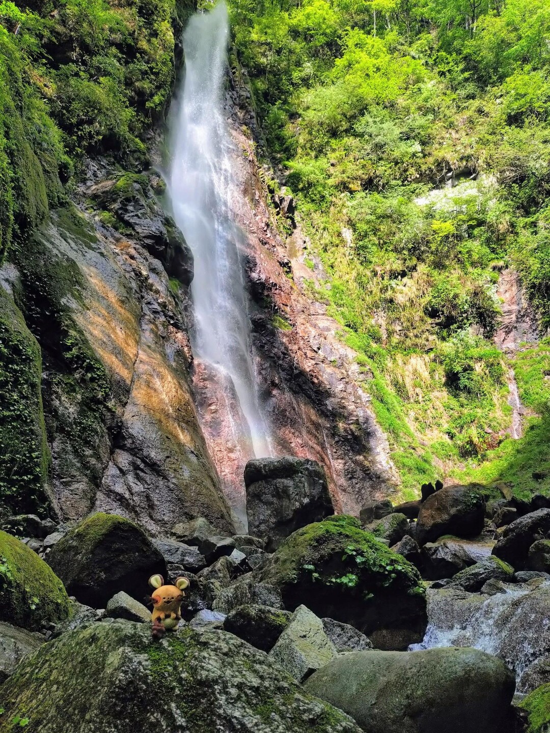 畦ヶ丸山 / GuPOaraiさんの大室山・畦ヶ丸山・菰釣山の活動データ | YAMAP / ヤマップ