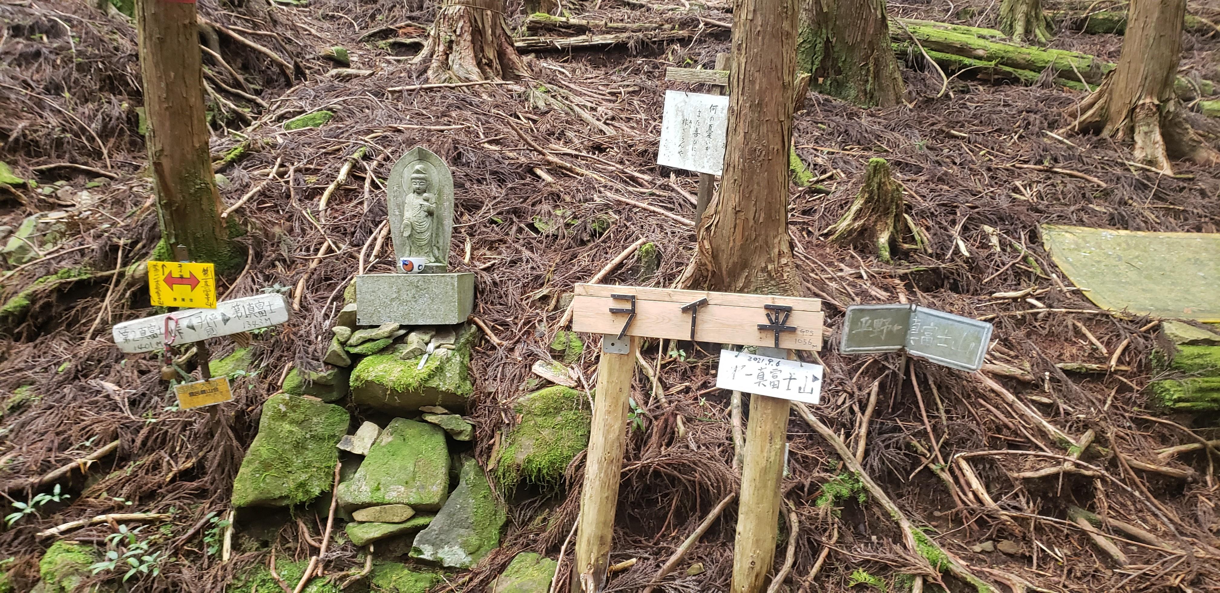 第一、第二真富士山🗻 / moochi さんの真富士山の活動データ | YAMAP / ヤマップ