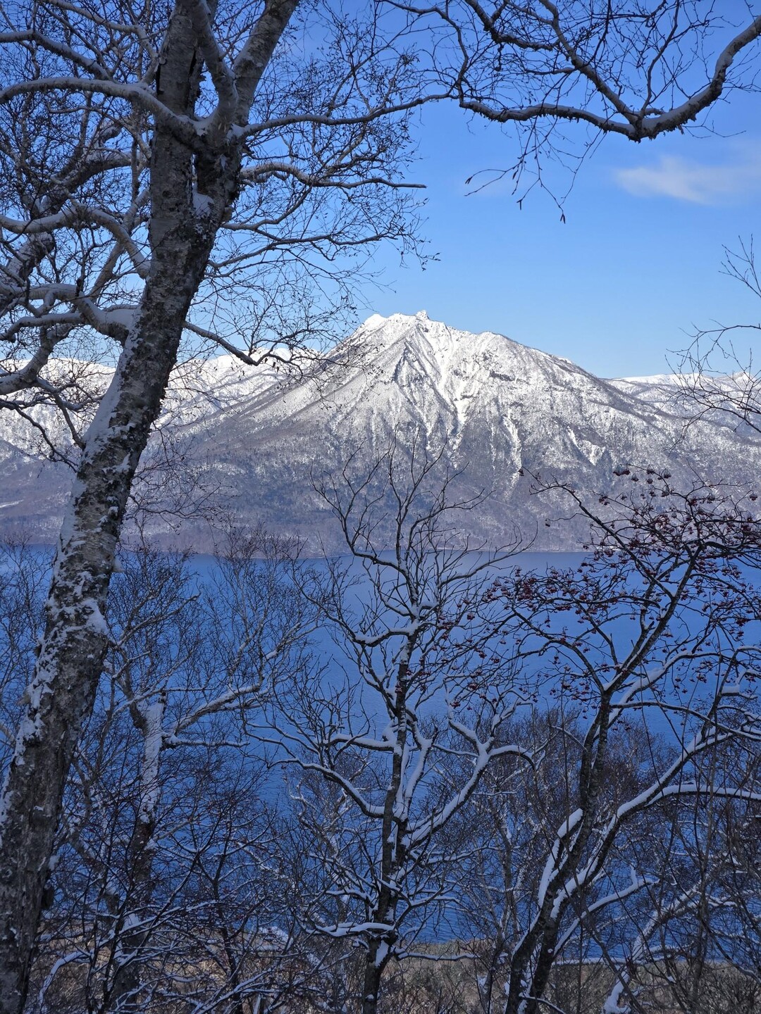 腰痛で諦めの風不死岳 / せいちゃんさんの樽前山・風不死岳の活動日記 | YAMAP / ヤマップ