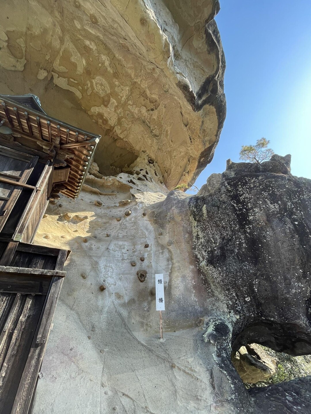 伊勢山上 / pepperさんの伊勢山上の活動データ | YAMAP / ヤマップ