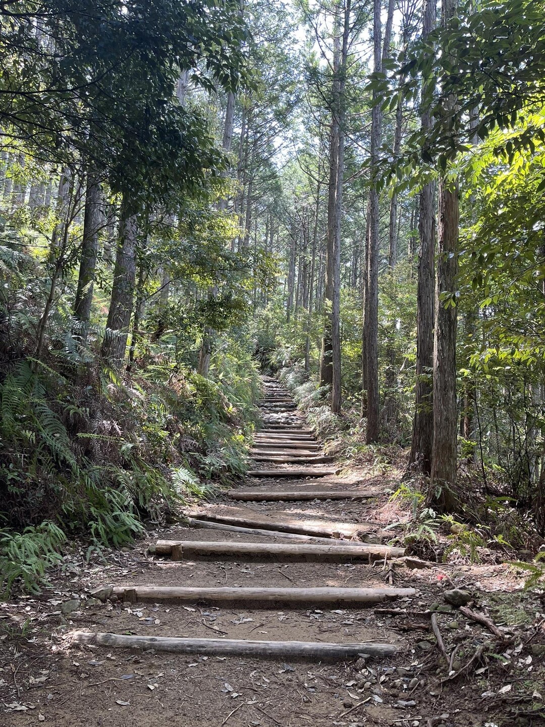 2023.5.10 熊野古道(ソロで行っ... / MIYUKIさんのモーメント | YAMAP / ヤマップ