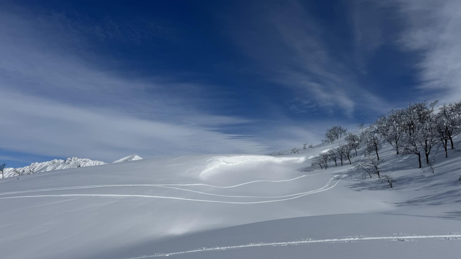 昨日UP⤴️した春の陽気☘️阿寺山🏔️... / ｺﾖｩﾃ(coyote)さんのモーメント | YAMAP / ヤマップ
