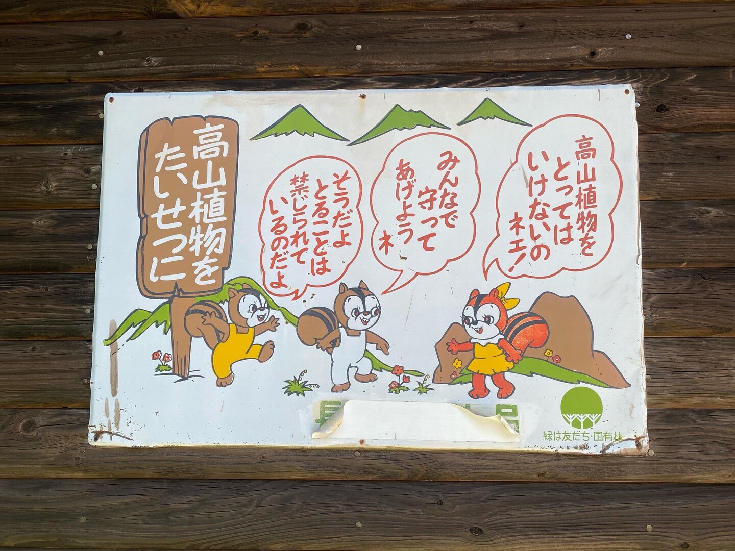 池の平湿原ハイキング / Myaccoroさんのハイキングの活動データ | YAMAP / ヤマップ