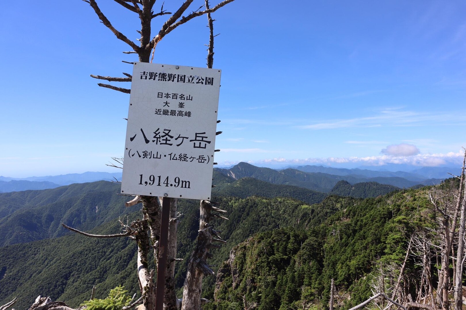 涼を求め八経ヶ岳へ / Sueさんさんの八経ヶ岳の活動データ | YAMAP / ヤマップ