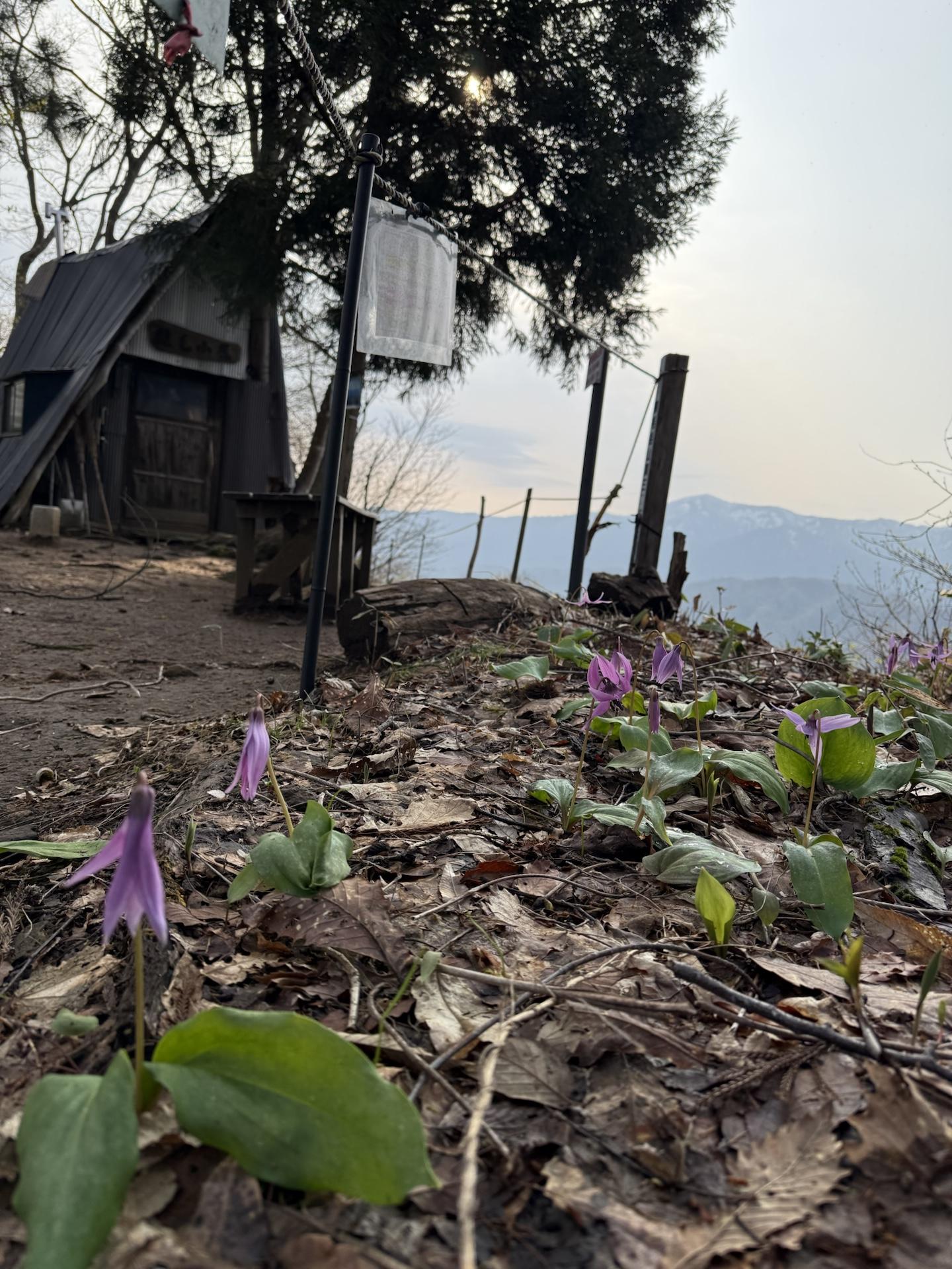 猿毛岳 21 / cococoさんの猿毛岳の活動データ | YAMAP / ヤマップ