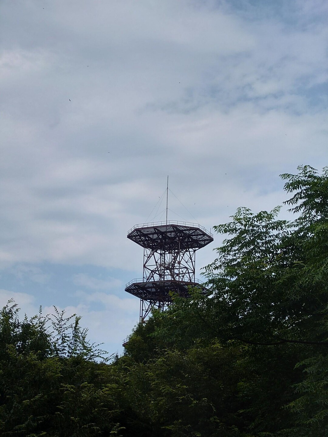 天王山 / 雲谷山の写真12枚目 / 廃屋NTT | YAMAP / ヤマップ