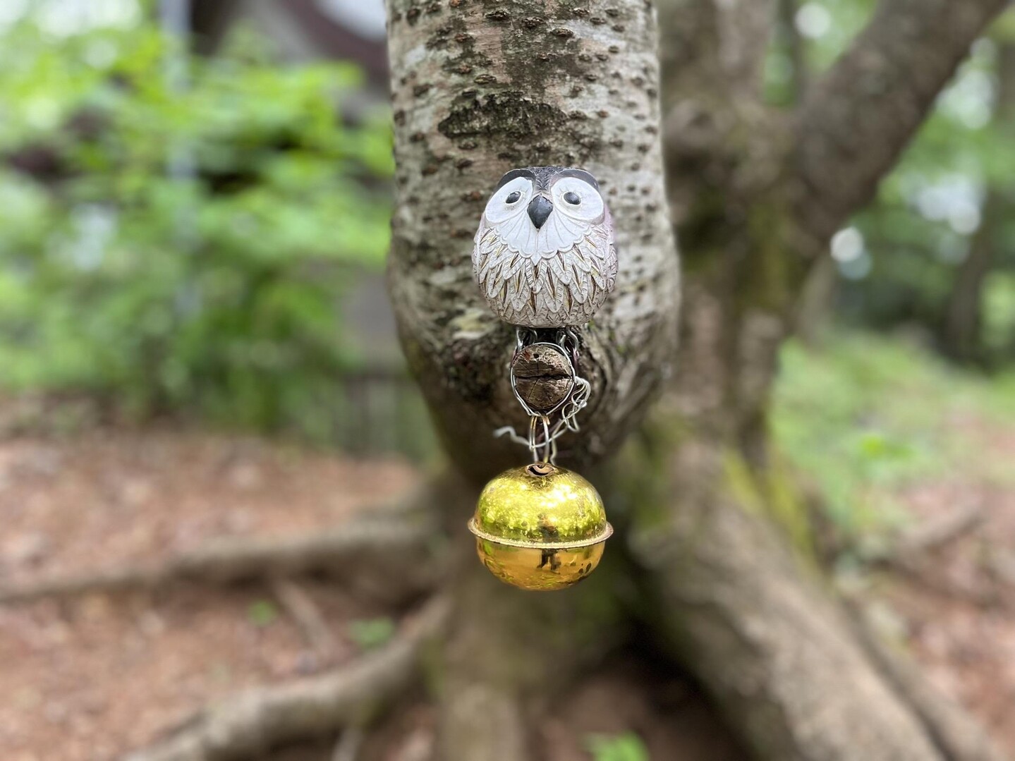 文殊山・文殊山（奥の院） / TKSさんの文殊山の活動データ | YAMAP / ヤマップ