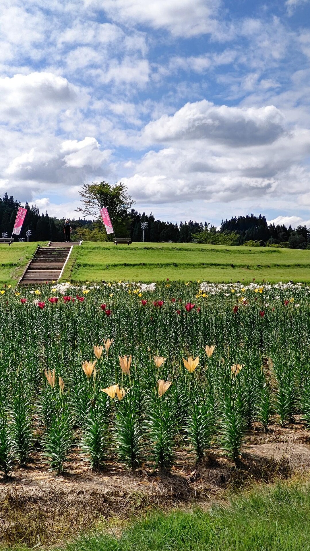 2024年9月26日(木) ようやく時間... / kinさんのモーメント | YAMAP / ヤマップ