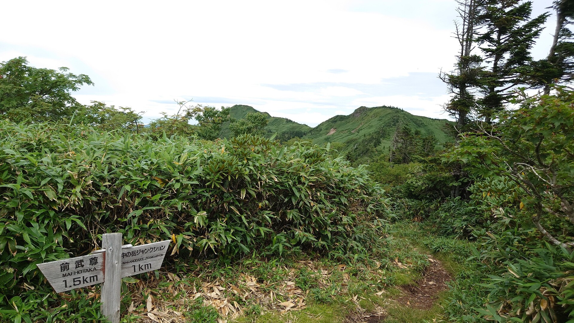 HiroNagさんの投稿したフィールドメモ | YAMAP / ヤマップ