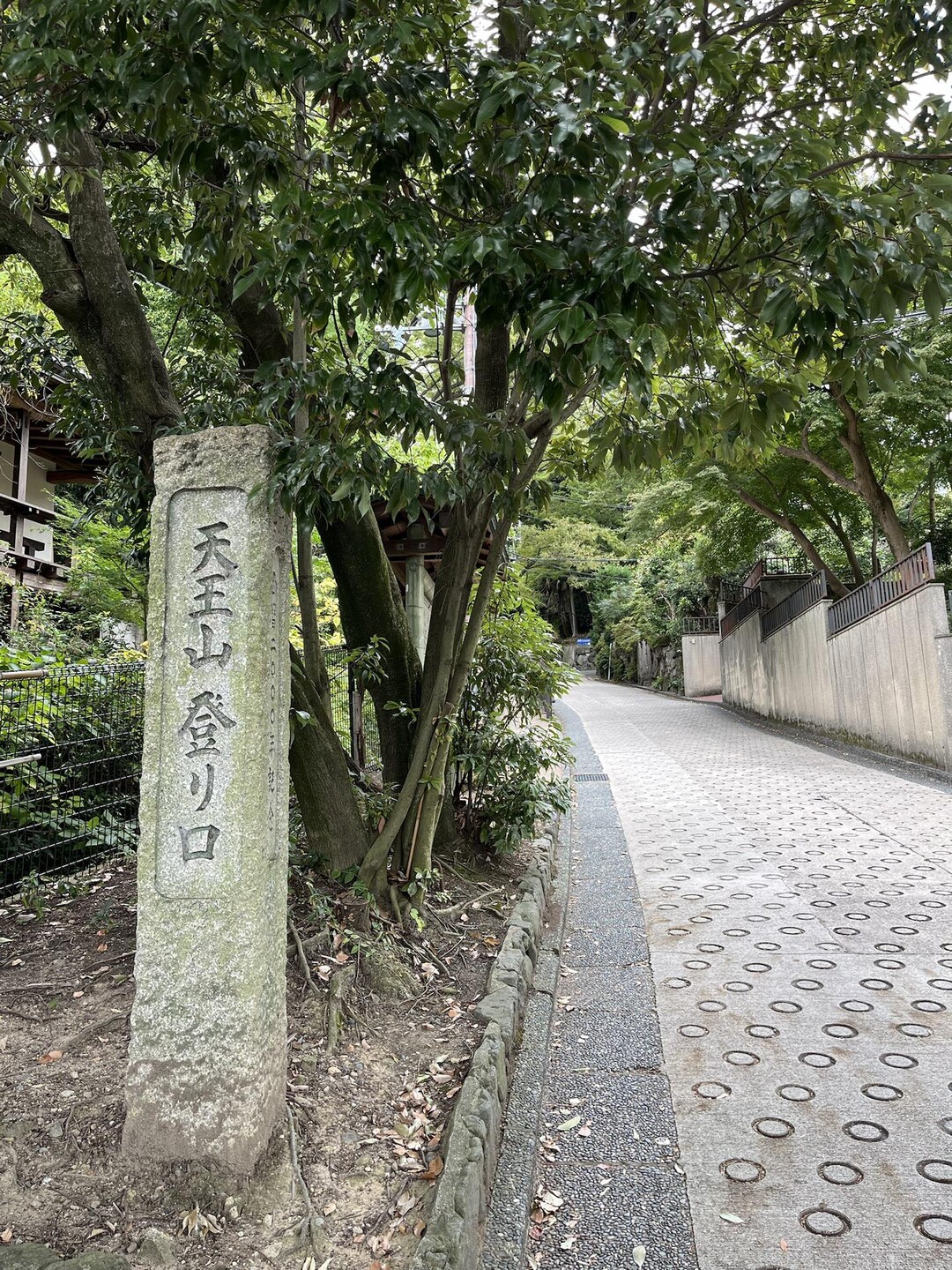 天王山 / Ryouさんのポンポン山・釈迦岳・小塩山・若山の活動データ | YAMAP / ヤマップ